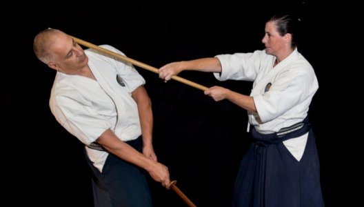 Takeda ryu - Japan Expo Marseille