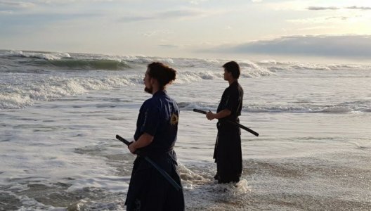 HAIDONG GUMDO: Traditional Korean sword fighting - Japan Expo Paris