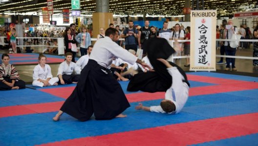 Try Aikibudô at Japan Expo ! - Japan Expo Paris