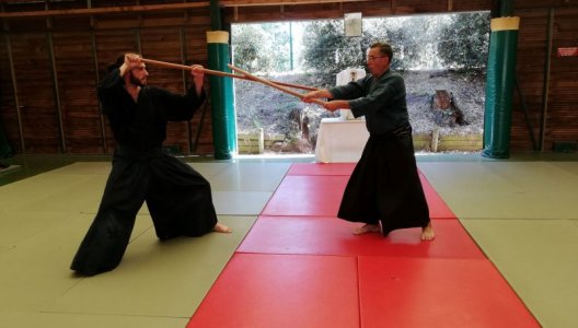 TENSHIN SHODEN - Japan Expo Paris