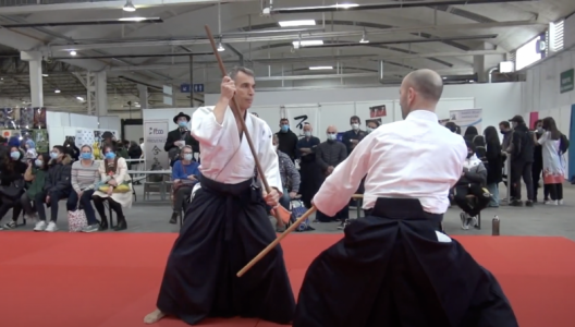 Aikido PACA FFAAA - Japan Expo Marseille