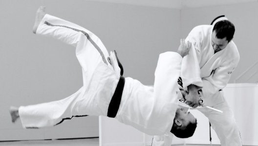 Aikibudo Pays d’Aix et Airbus Helicopters - Japan Expo Marseille
