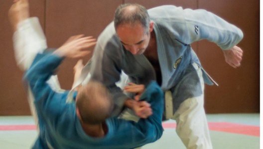 Nihon Budo Watanabe Ryu - Japan Expo Paris