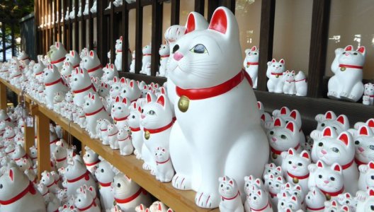 Maneki-neko Day - Japan Expo Paris